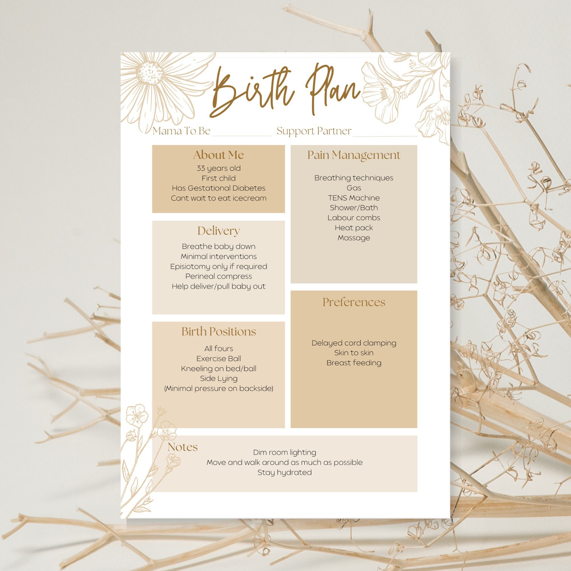 Editable Birth Plan, Birth and Labour Preferences, Printable Birth Plan ...