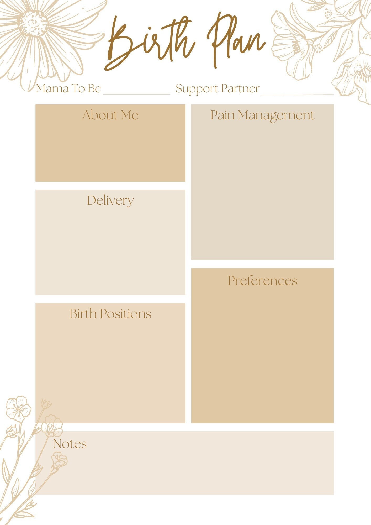 Editable Birth Plan, Birth and Labour Preferences, Printable Birth Plan ...