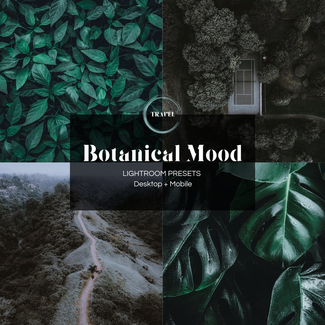 Botanical Mood Preset by Simpleartpresets [travel Collection] - Etsy