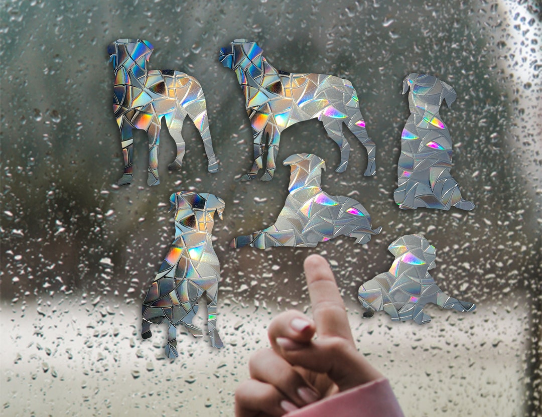 Rottweiler Dogs Window Suncatcher Clings Set of 6 Pcs / Removable ...