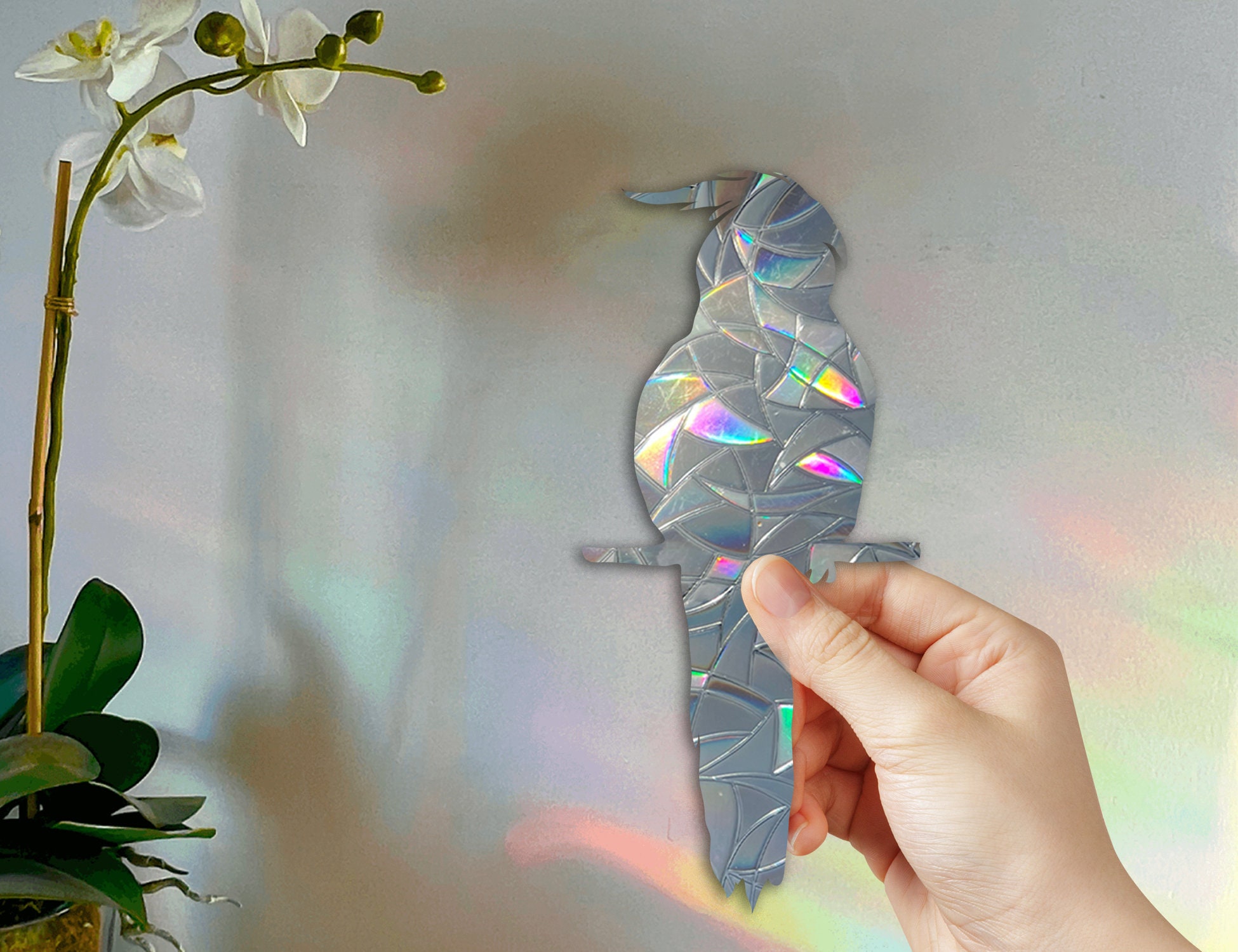 Parrots Birds Windows Decals, Cockatiel Suncatcher Clings Set 5 Pcs ...