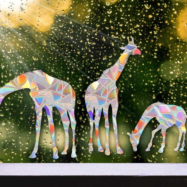 Baby Giraffe Decals - Etsy