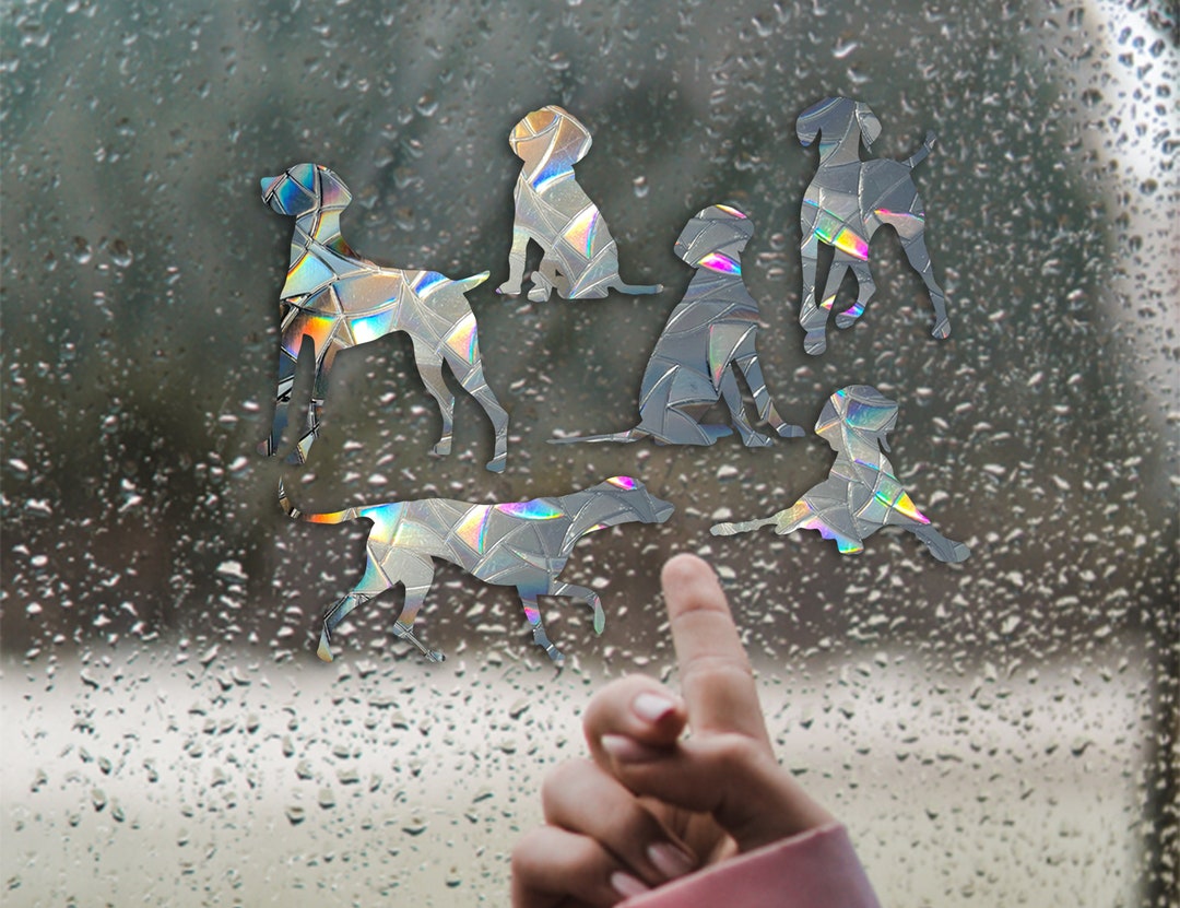 Hungarian Vizsla Dog Suncatcher Window Clings: Rainbow Prism Decals ...