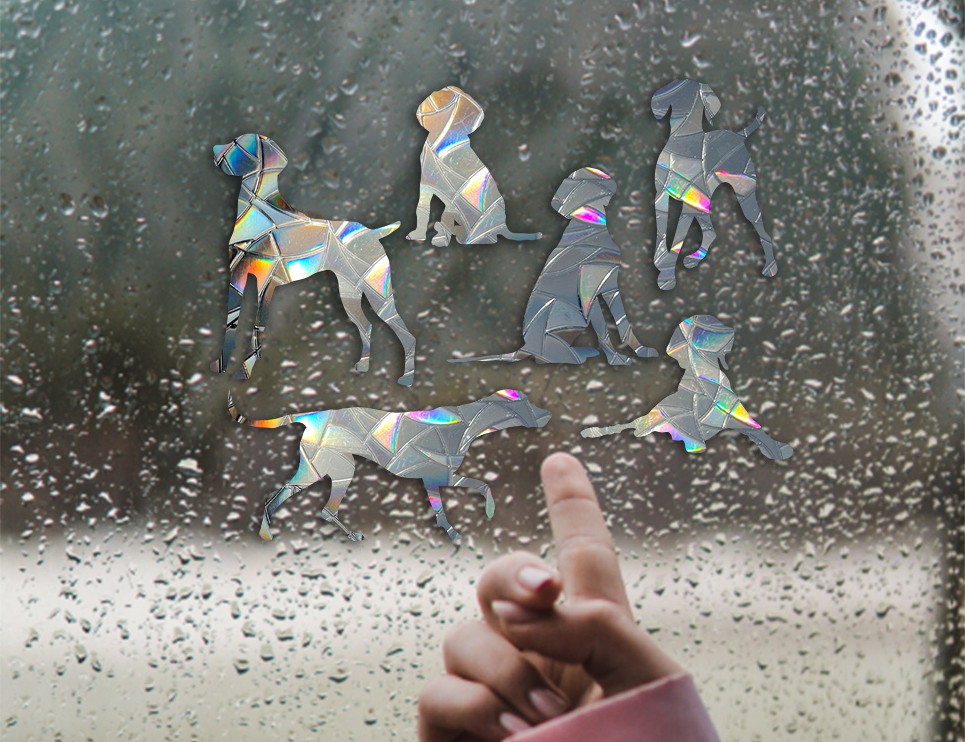 Hungarian Vizsla Windows Dogs Suncatcher, Clings Set 6 Pcs, Removable ...