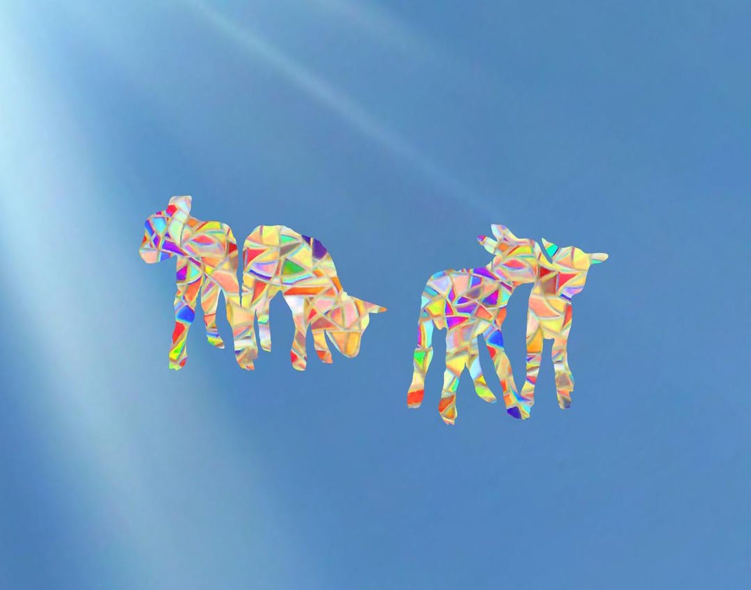 Lamb Suncatchers Set 2 Pcs Windows Sheep Image Clings / Removable ...