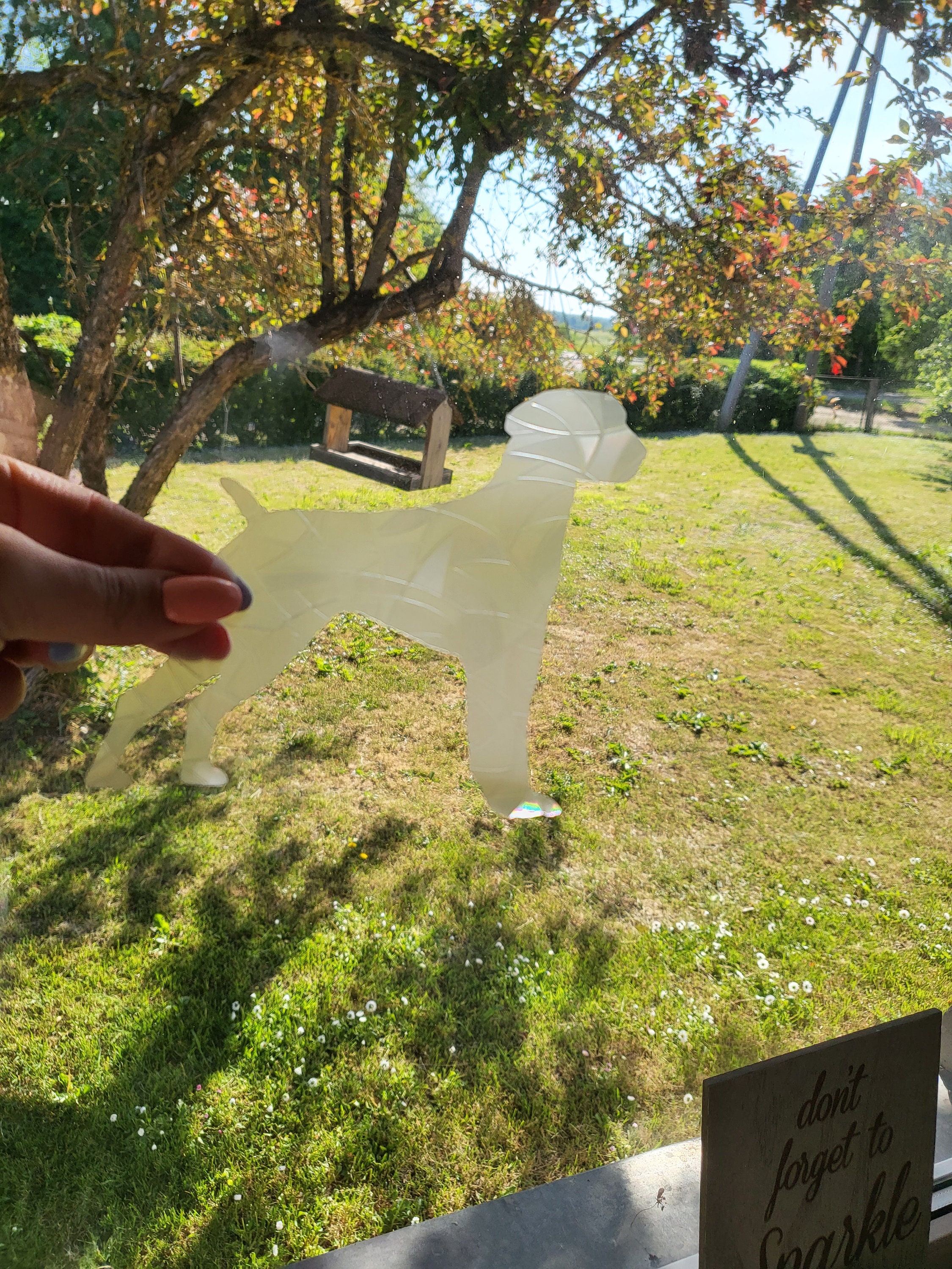 German Shorthaired Pointer Dog Window Cling / Sun Catcher - Etsy