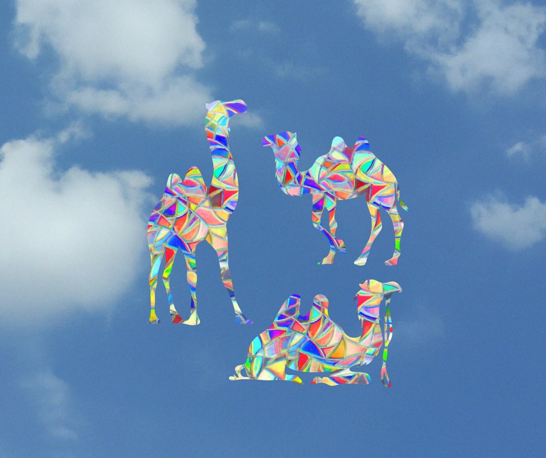 Camel Suncatcher Sticker Set: Holographic Rainbow Window Clings - Etsy