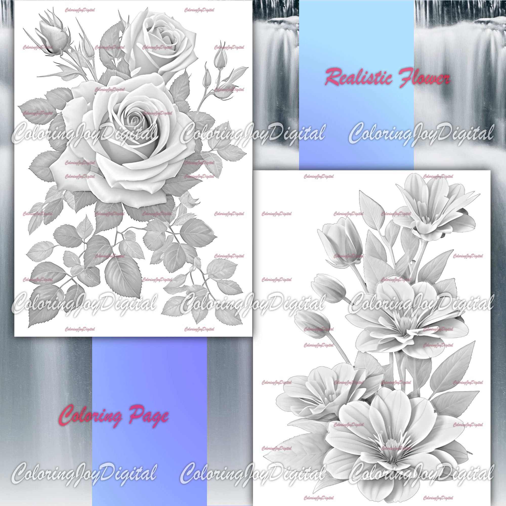 26 Grayscale Flower Coloring Page Adult Coloring Page Floral - Etsy Canada