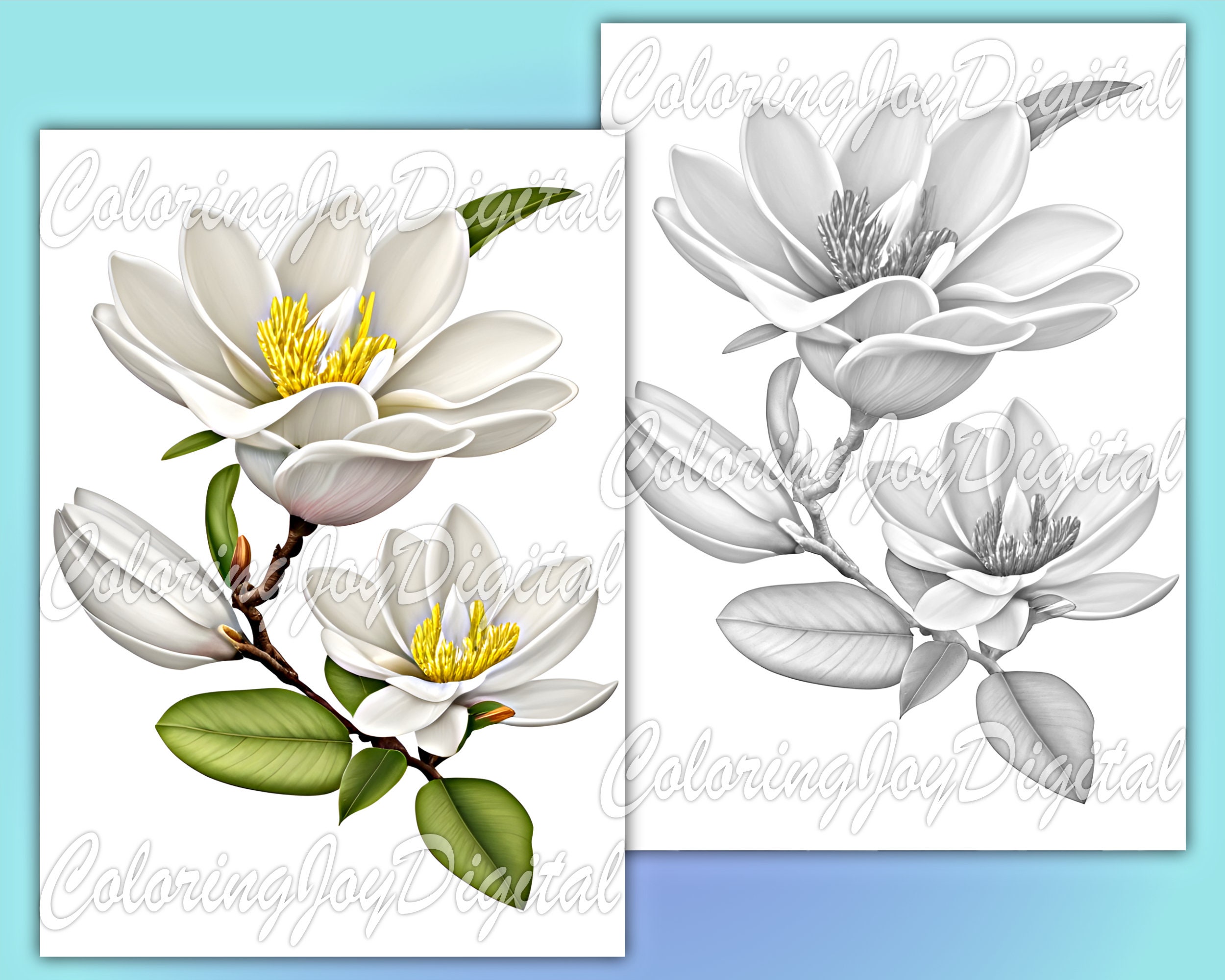 26 Grayscale Flower Coloring Page Adult Coloring Page Floral - Etsy Canada