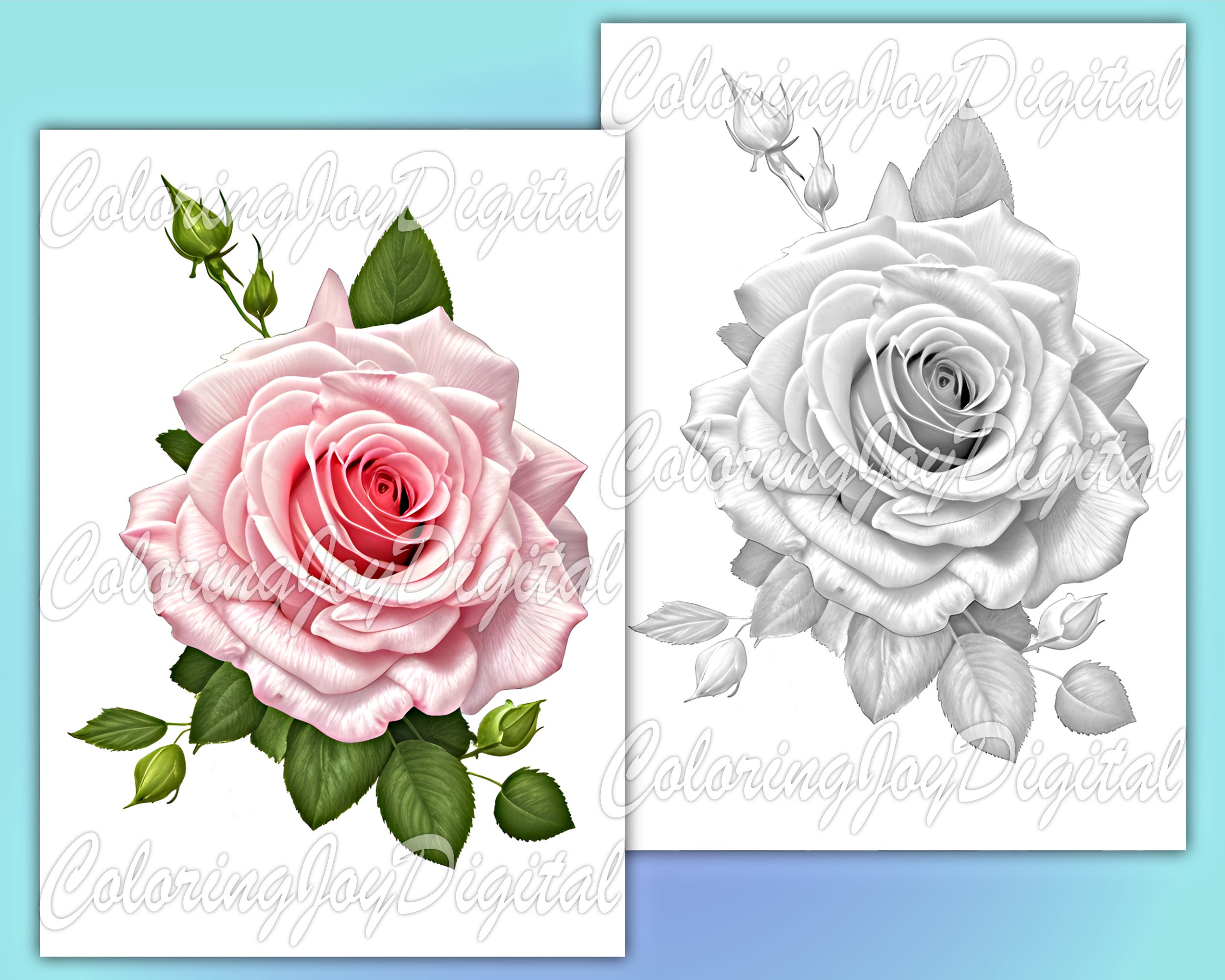 26 Grayscale Flower Coloring Page Adult Coloring Page Floral - Etsy Canada