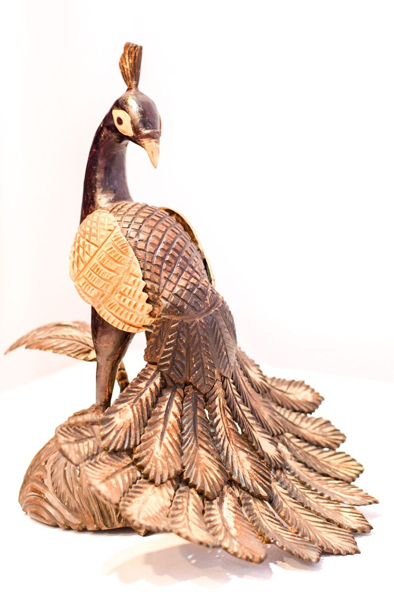 Coco Shell Bastu Peacock for Home Decor - Etsy