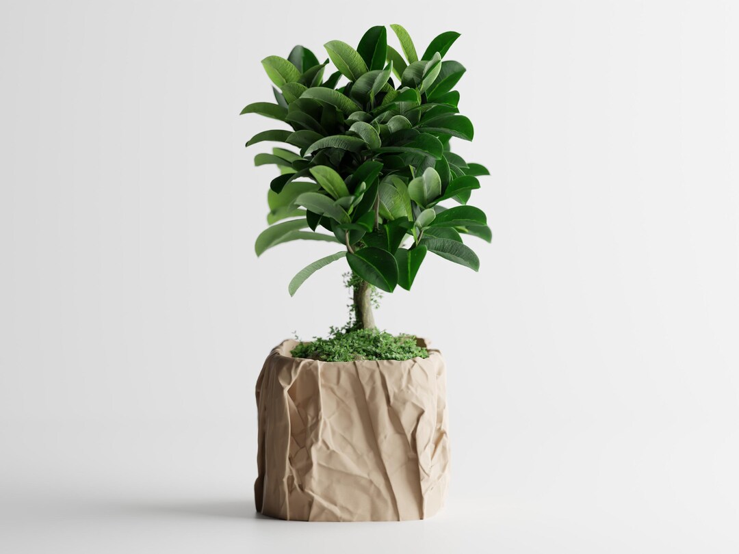 Crumbled Paper Pot Planter – Modern Paper Textured Plant Pot | 3D ...