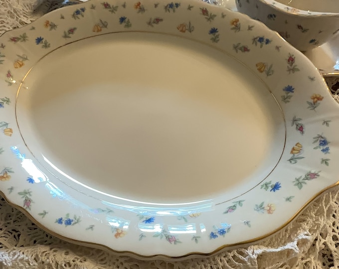 VINTAGE Federal Shape Syracuse China | Suzanne Pattern | Set of 46 ...