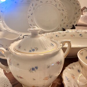 VINTAGE Federal Shape Syracuse China | Suzanne Pattern | Set of 46 ...