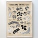 Animal Scat Print - Woodland Animal Droppings Poster, Wilderness Poop ...
