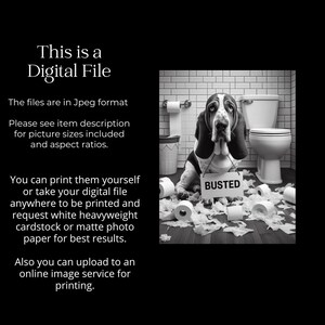 Bad Basset Hound Dog Bathroom Wall Art, Dog Busted With Toilet Paper ...