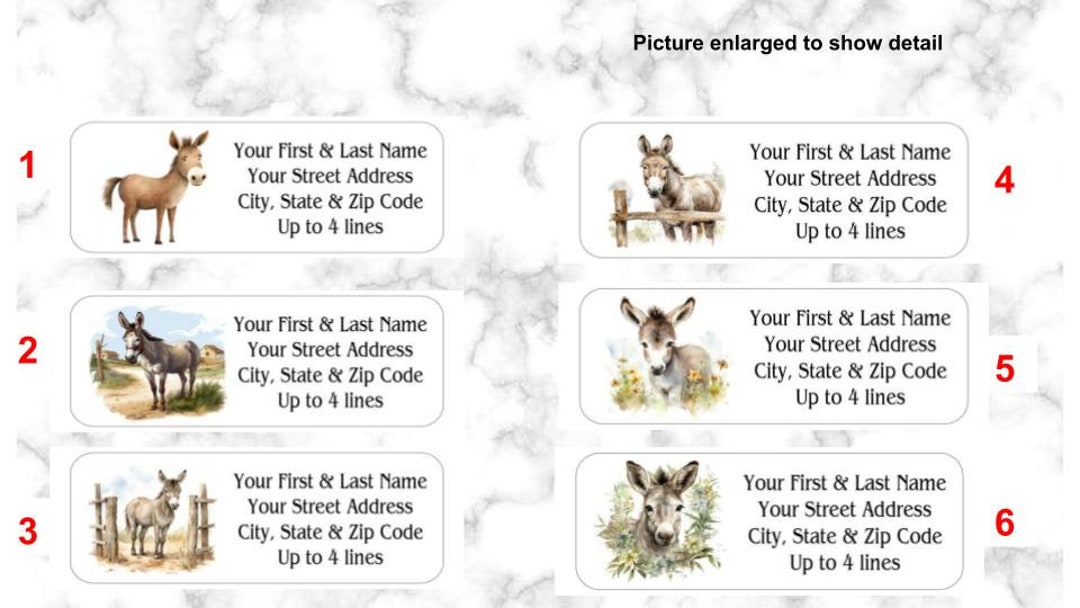 Set of 150 Adorable Donkey Burro - 6 Designs - You Choose Style Return ...