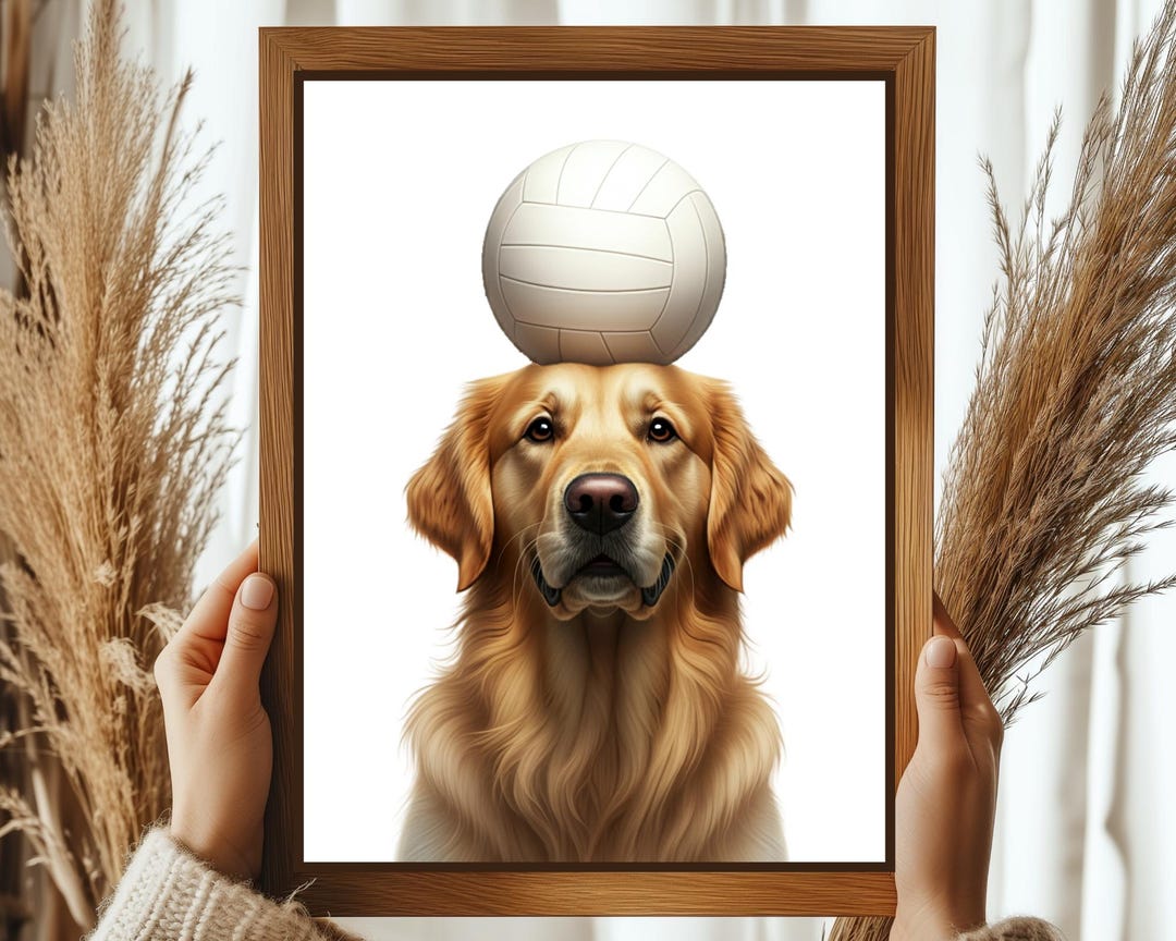 Wall Art, Golden Retriever Dog, Volleyball on Head, Sports Lover ...