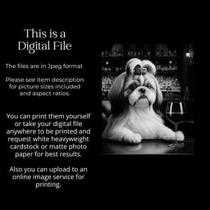Shih Tzu Dog Alcohol Wall Art, Shih Tzu Sitting at the Bar Poster, Wine ...