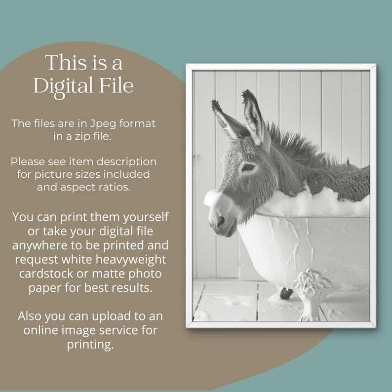 Donkey in Tub Printable Wall Art Donkey Taking a Bath in Tub Photo ...