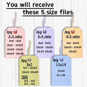 Bad Basset Hound Dog Bathroom Wall Art, Dog Busted With Toilet Paper ...