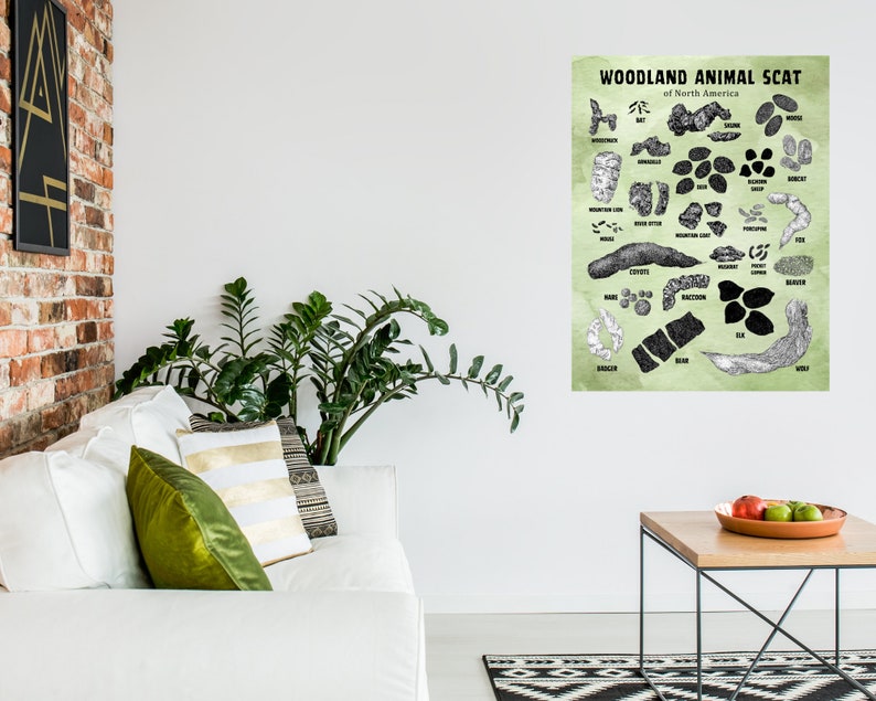 Animal Scat Print Woodland Animal Droppings Poster, Wilderness Poop ...