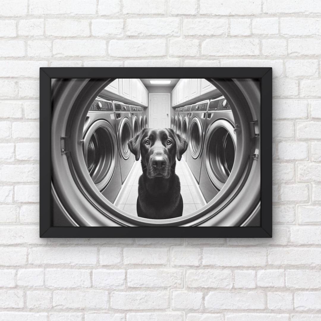 Black Lab Dog Laundry Room Wall Art | Labrador Retriever in Dryer ...