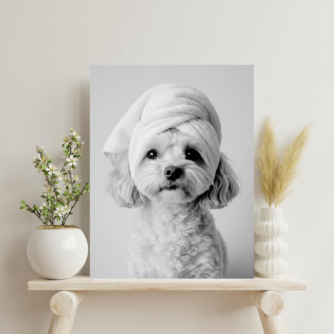 Bathroom Spa Art, Poochon Dog Print, Poodle Bichon Frise Dog Wall Art ...
