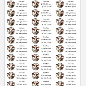 Set of 150 Cow Baby Calf Round Design Primitive Return Mailing Address ...