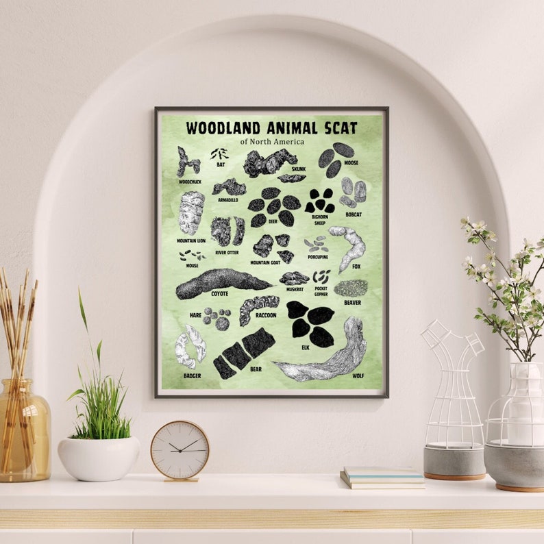 Animal Scat Print Woodland Animal Droppings Poster, Wilderness Poop ...