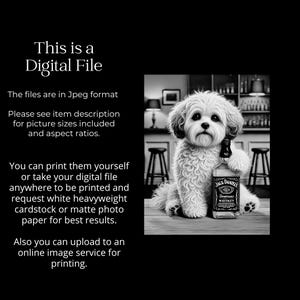 Shih Tzu Dog Alcohol Wall Art, Shih Tzu Sitting at Bar Poster, Jack ...