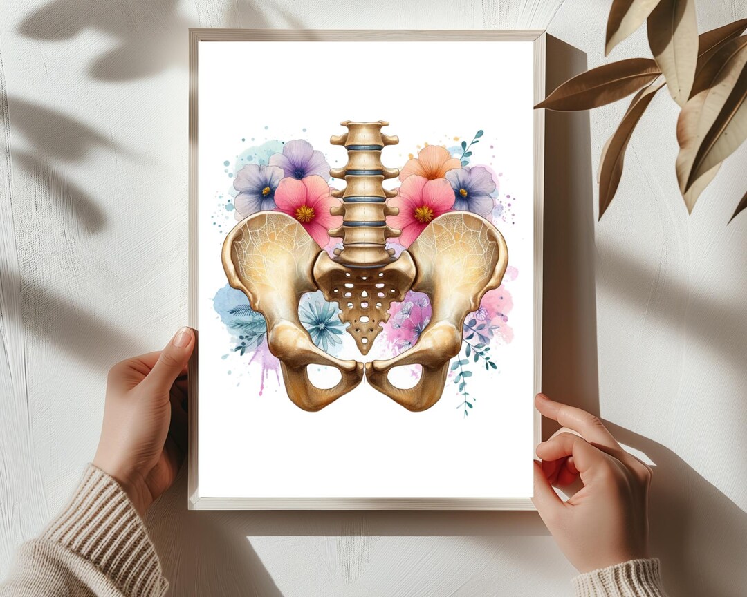 Floral Pelvic Floor Art Print: Watercolor Anatomy Decor (digital ...