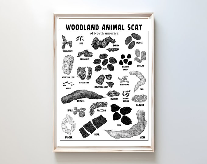 Animal Scat Print - Woodland Animal Droppings Poster, Wilderness Poop ...