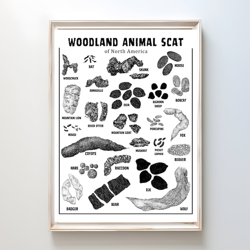 Hunting Guide Art Print - Etsy