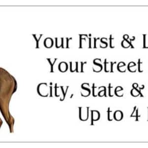 Return Mailing Address Labels Buck Deer 10 Point Hunting Set of 150 ...