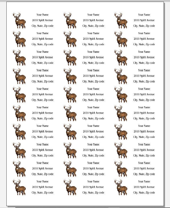 Return Mailing Address Labels Buck Deer 10 Point Hunting Set of 150 ...