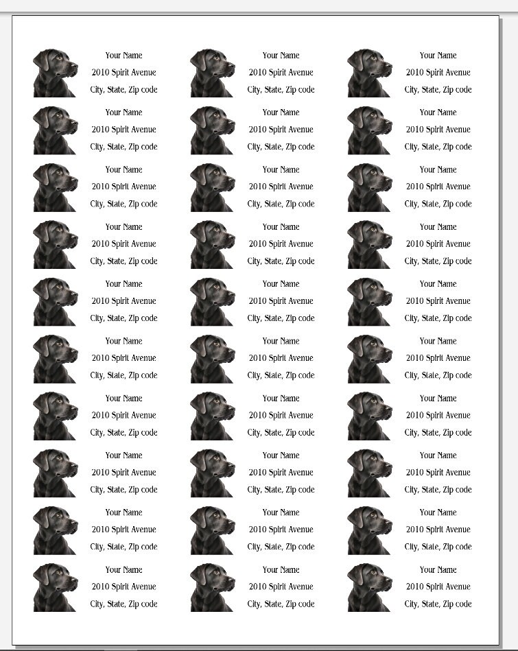 Set of 150 Black Lab Dog Labrador Return Mailing Address Labels ...