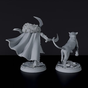 Elf Ranger and Panther Dnd Inspired Fantasy Dnd Tabletop RPG Mini Great ...