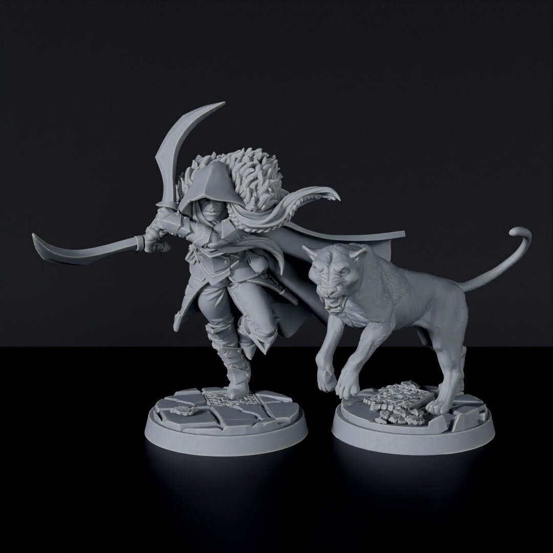 Elf Ranger and Panther Dnd Inspired Fantasy Dnd Tabletop RPG Mini Great ...