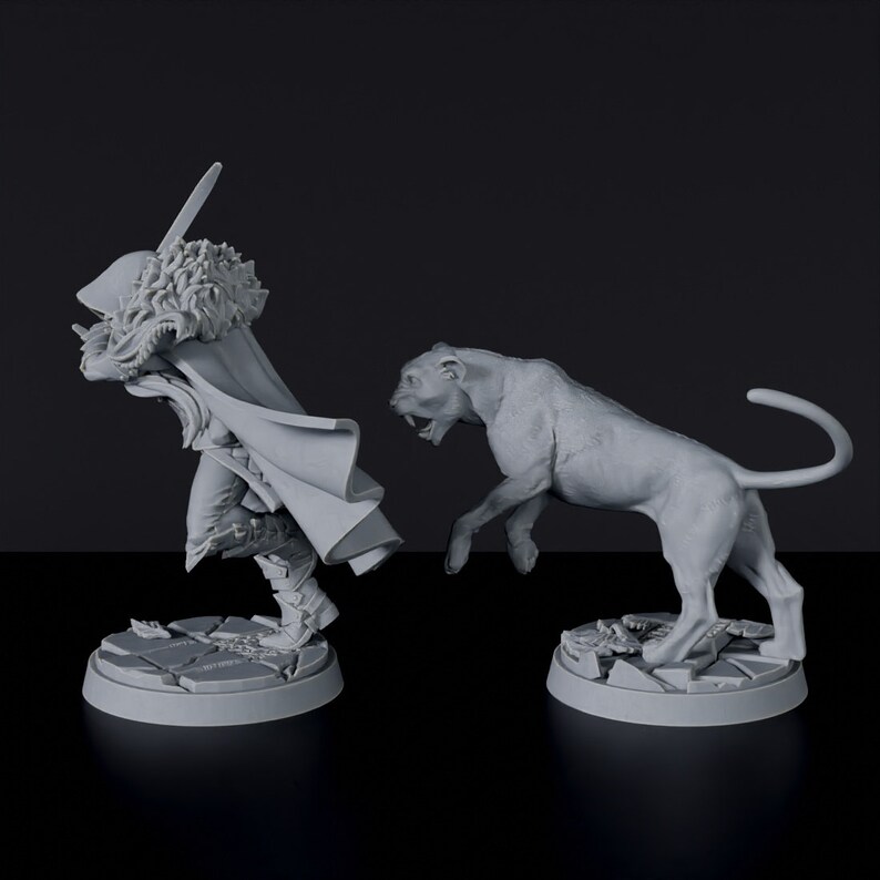 Elf Ranger and Panther Dnd Inspired Fantasy Dnd Tabletop RPG Mini Great ...