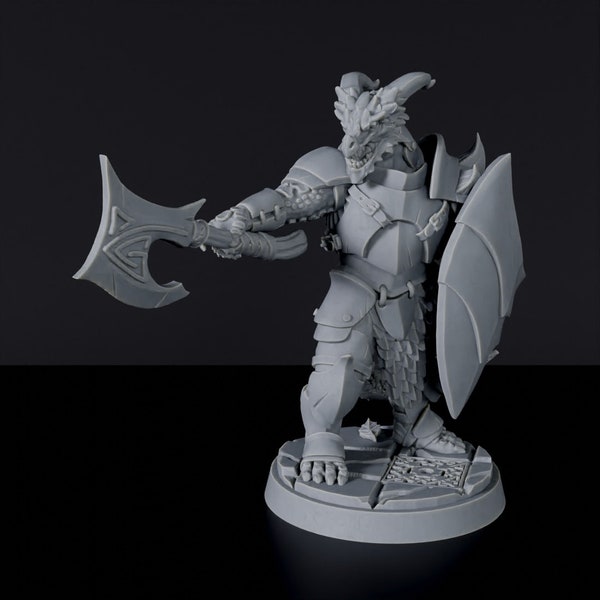 Dragonborn Fighter Miniature - Etsy