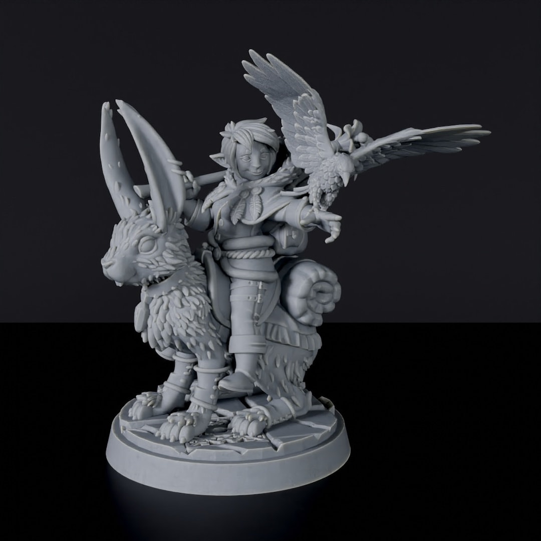 Mounted Gnome Druid Dnd Inspired Fantasy Dnd Tabletop RPG Mini Great ...