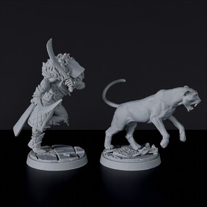 Elf Ranger and Panther Dnd Inspired Fantasy Dnd Tabletop RPG Mini Great ...