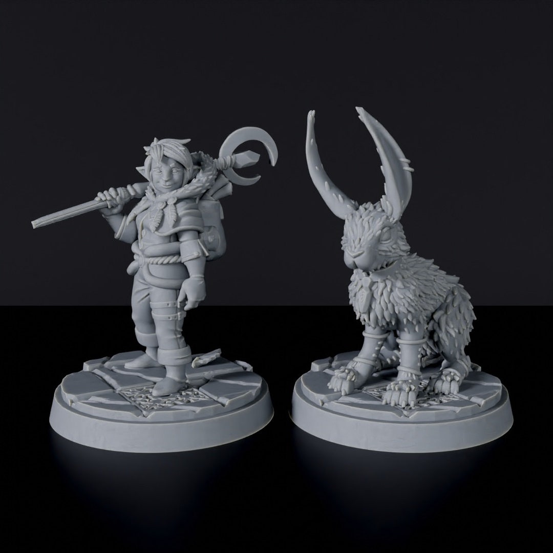 Gnome Druid With Rabbit Dnd Inspired Fantasy Dnd Tabletop RPG Mini ...