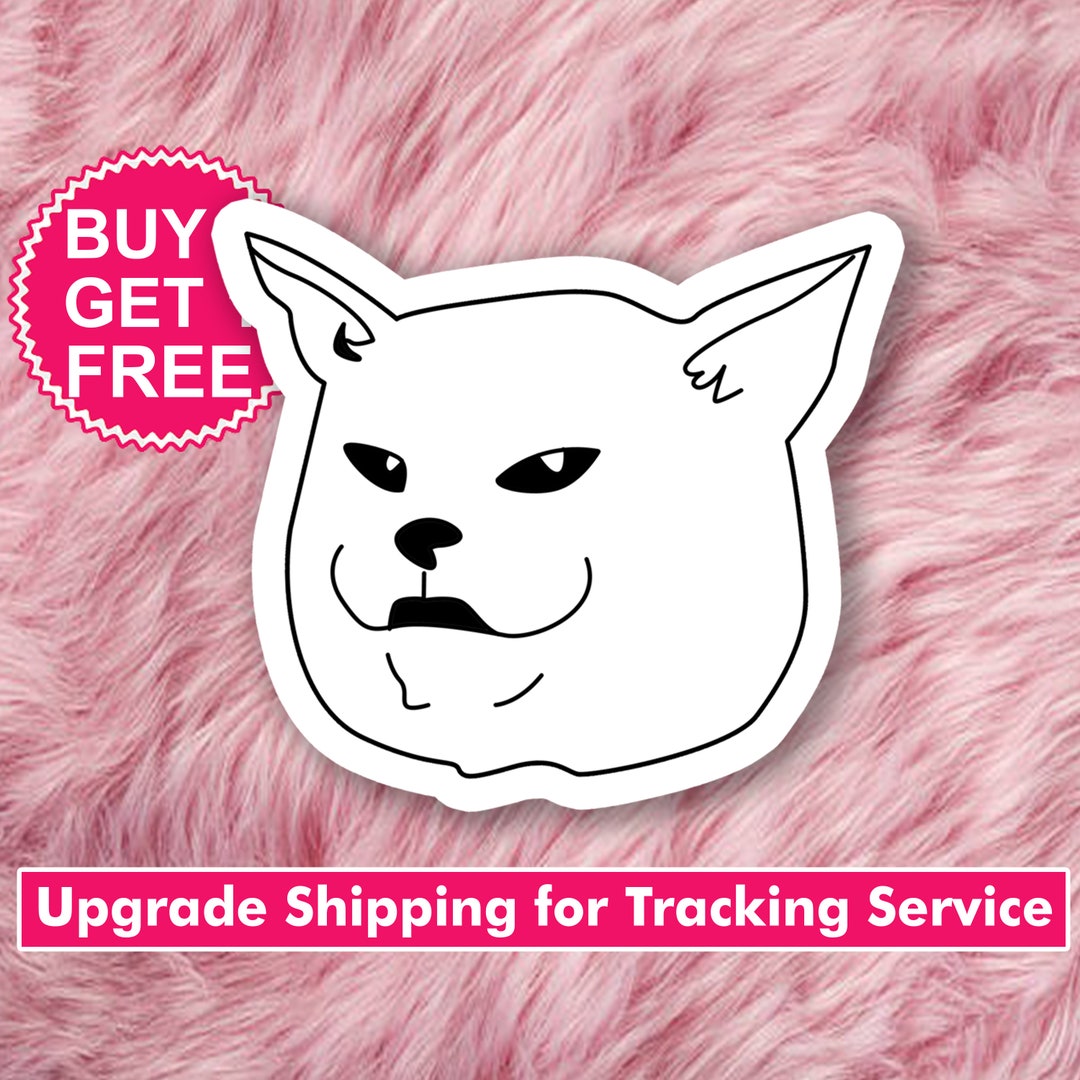 Confused Cat Sticker Funny Macbook Stickers Meme Bumper - Etsy Hong Kong