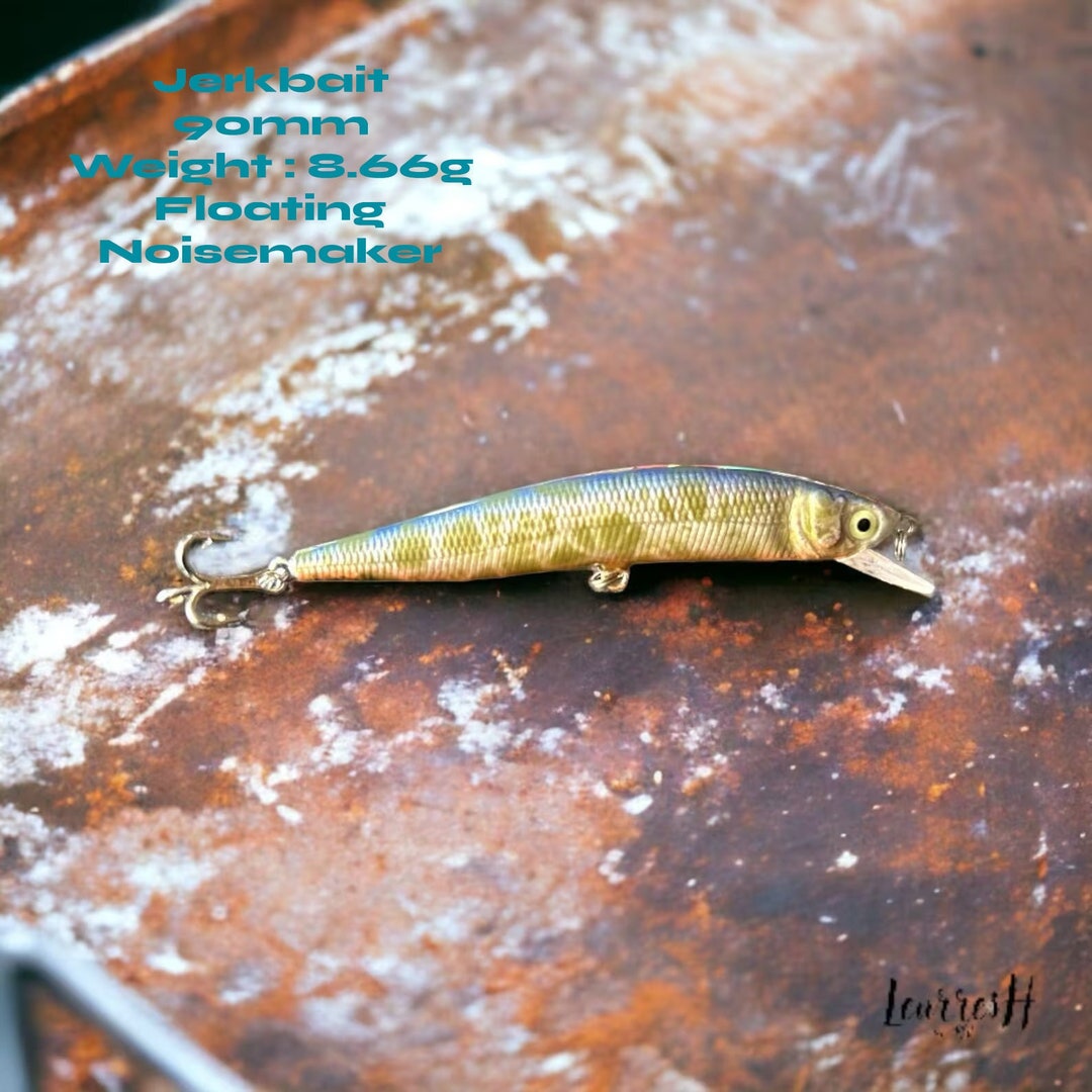 Expertly Crafted Predator Fishing Lure Silver Fusion - Etsy