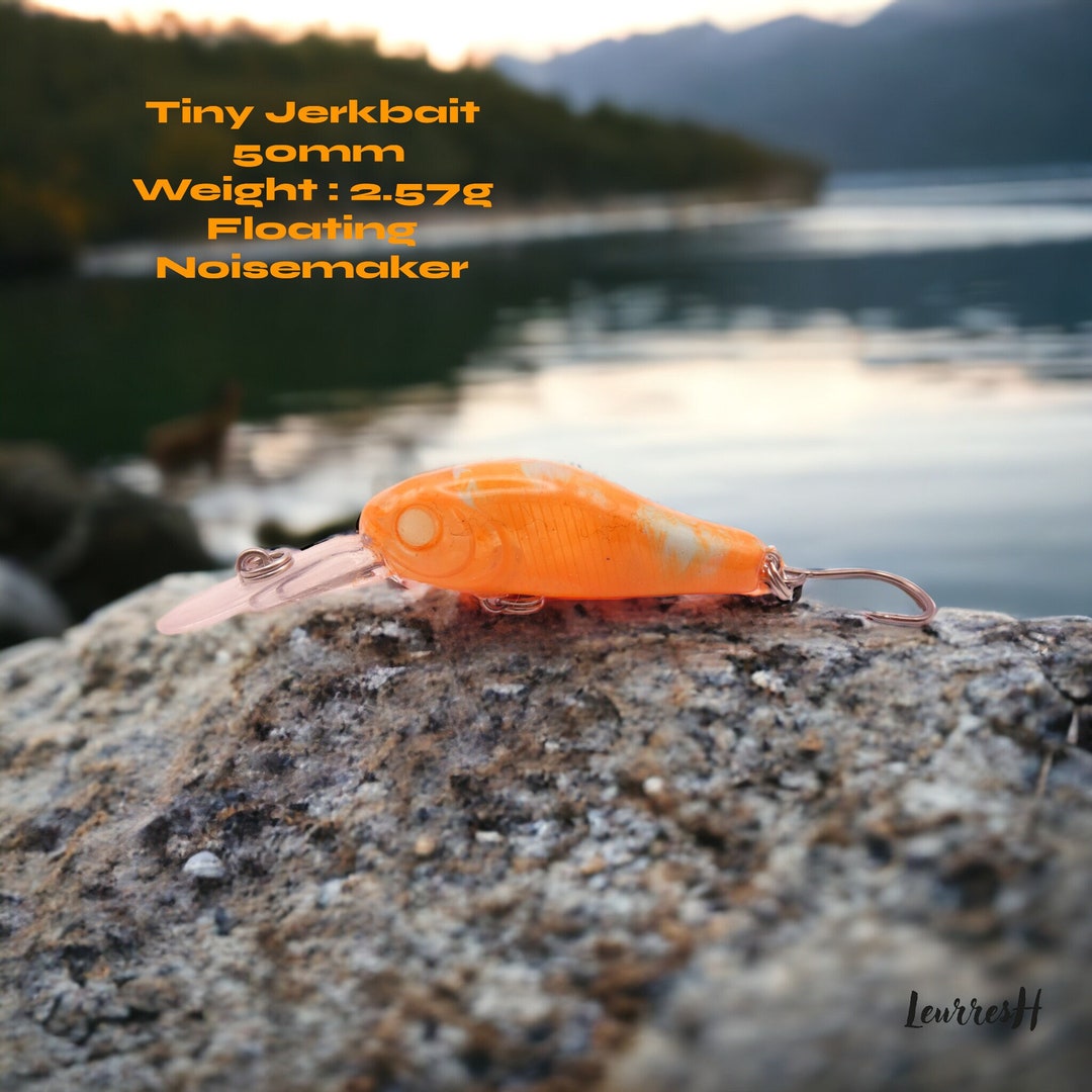 Small Handmade Lure 'the Flamboyant Fry' Trout - Etsy