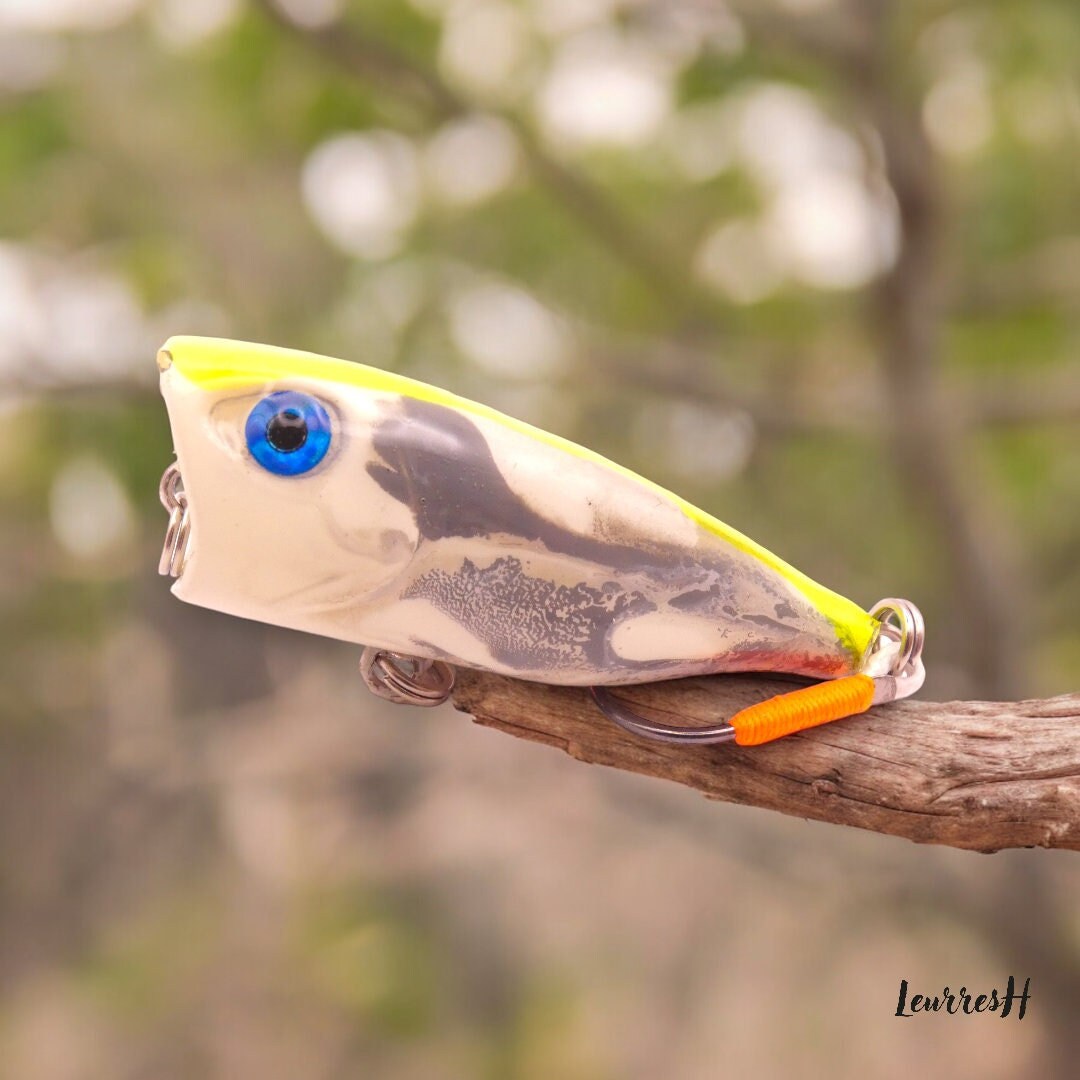 Discover angry Bird Mini Monster Floating Popper Fishing Hard Lure ...