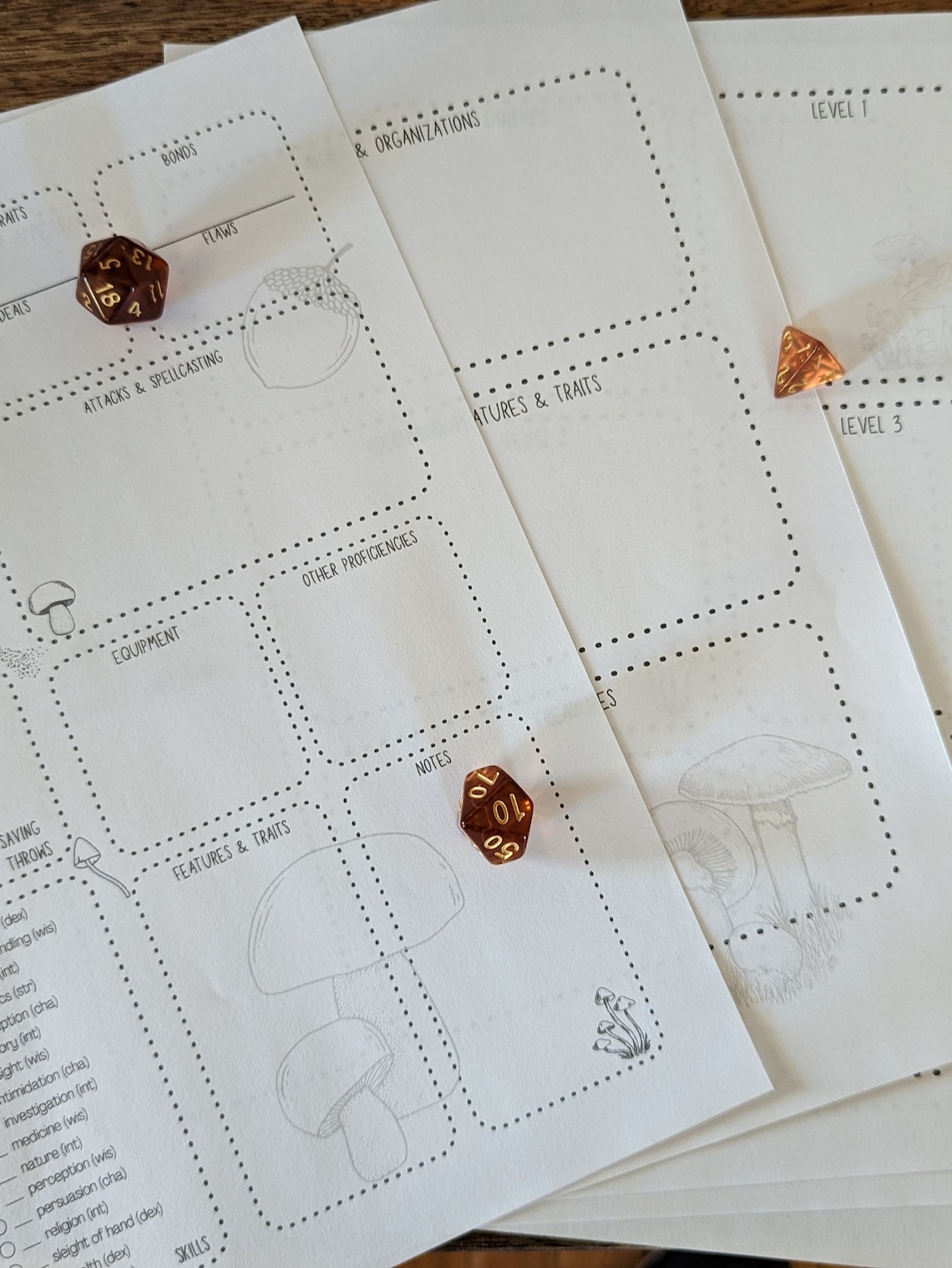 Dnd 5e Character Sheet: Nature, Fillable Dungeons & Dragons Druid ...