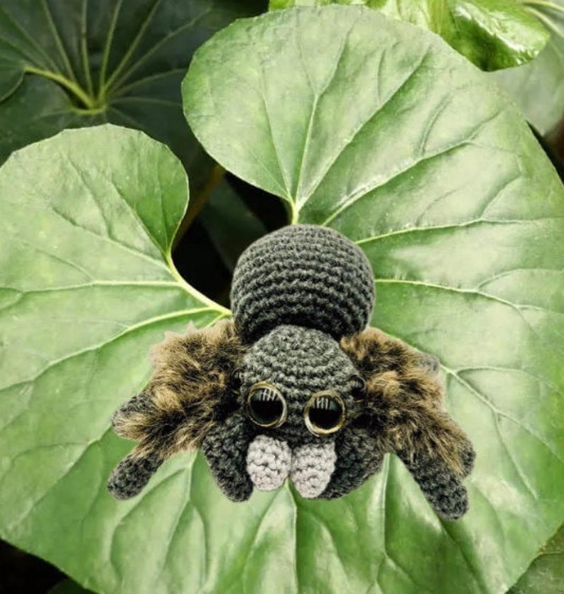 Jumping Spider Crochet Pattern - Etsy